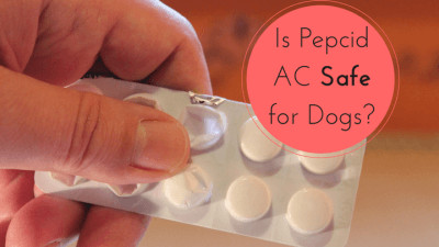 Pepcid AC 101: Famotidine For Dogs (Side Effects of Pepcid) - Smart Dog ...